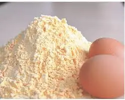 whole egg powder - Ovobel Foods Limited